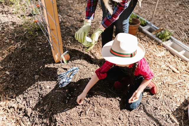 9 Fun Plant Activities for Preschool