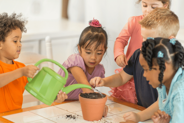 9 Fun Plant Activities for Preschool