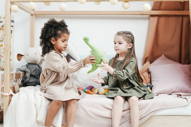 Social and Emotional Learning (SEL) Activities in Early Childhood