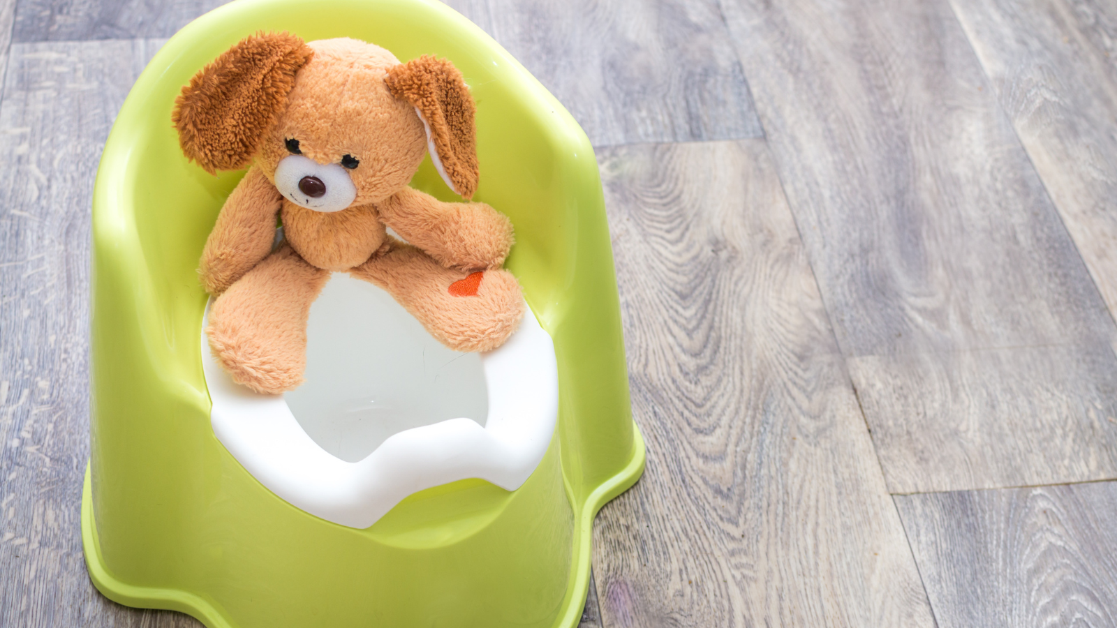 Sample Daycare Potty Training Policy for Childcare Providers